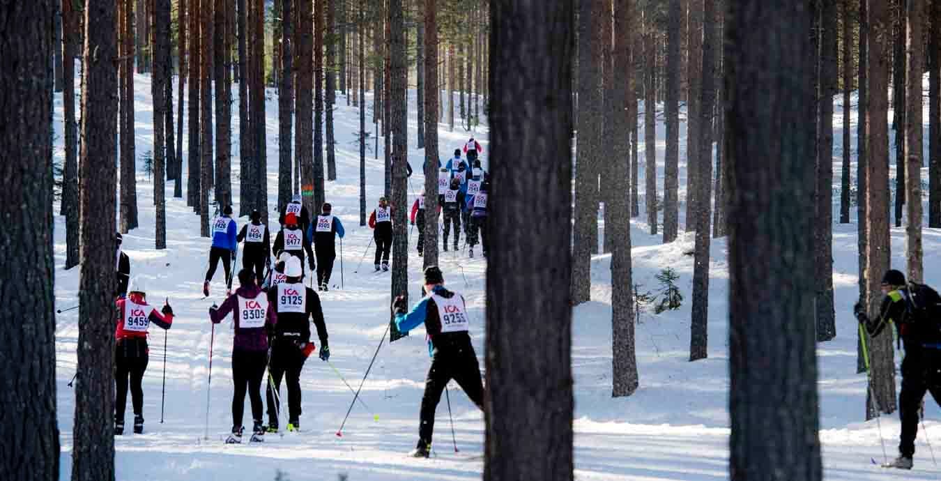 Kortvasan blir Vasaloppet 30 och Halvvasan blir Vasaloppet 45 - Langd.se