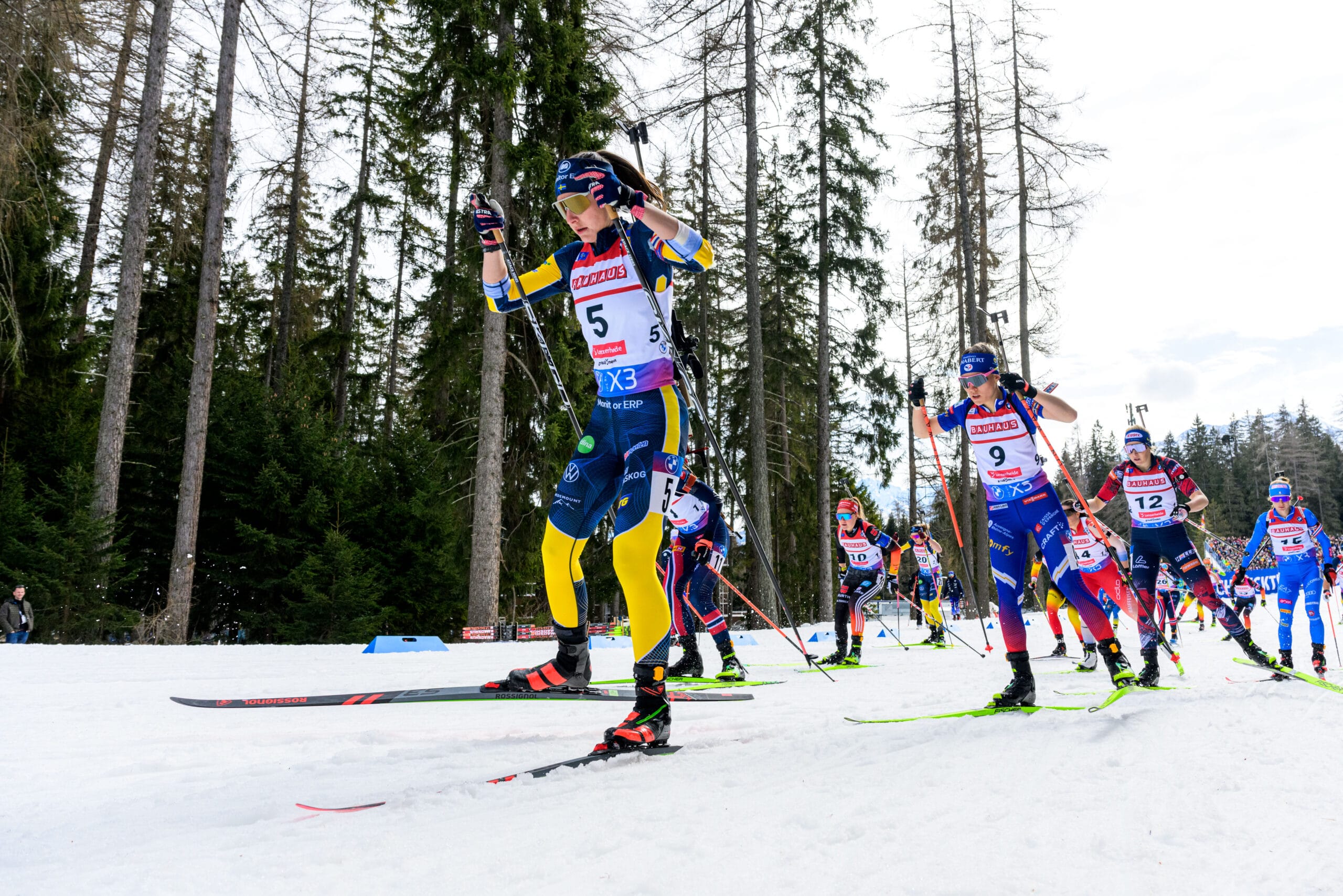 Ella Halvarsson en av fem nya i Topp och Talang - Langd.se